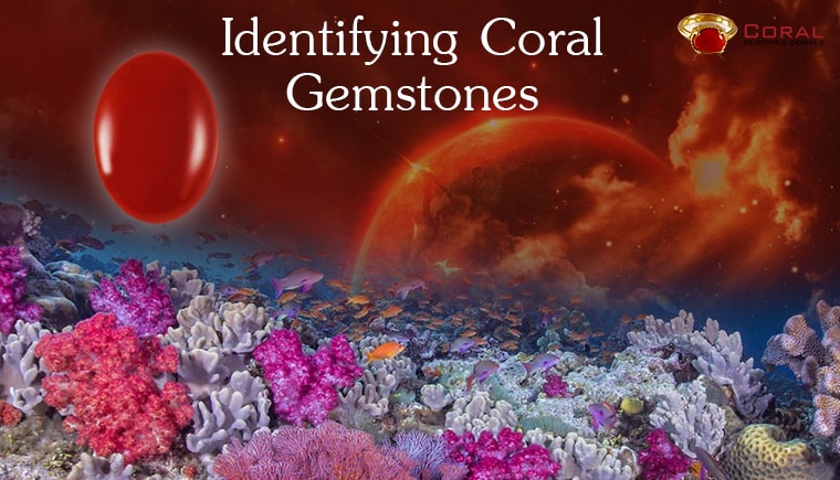 How To Identify Real Coral Gemstone