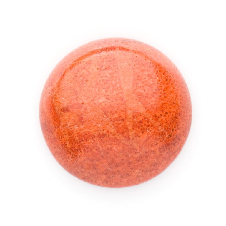 What Is Red Sponge Coral Stone?